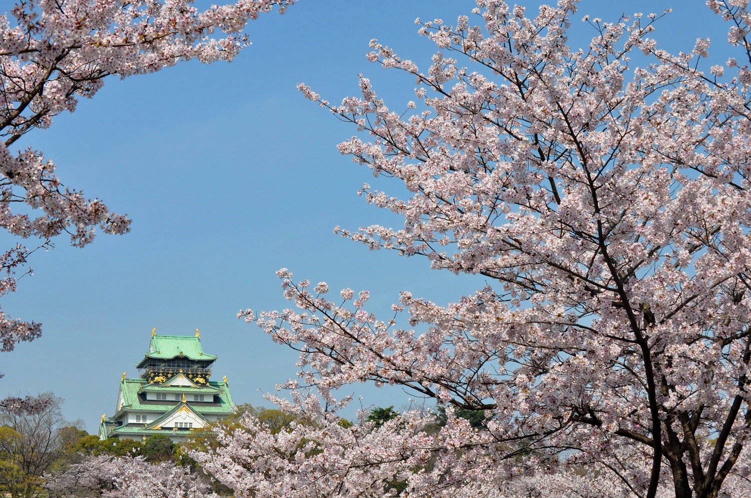 April | Events | Hotel New Otani Osaka